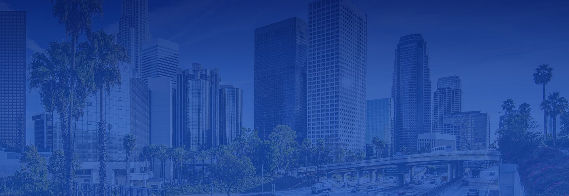 How To Write Your Own Will In California